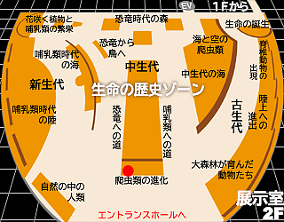 FPDM: ペイペスクス・テレオリヌス